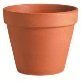 12" STANDARD TC POT