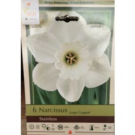 NARCISSUS STAINLESS 6PP