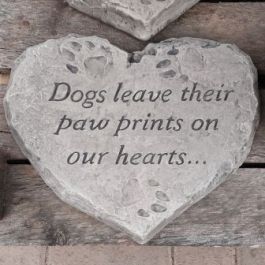 STEPPING STONE PAW PRINTS